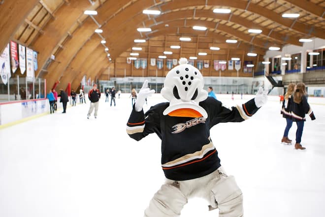 the rinks anaheim ice