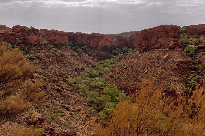 Tour to Kings Canyon National Park
