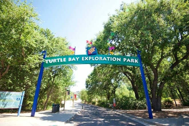 turtle bay exploration park