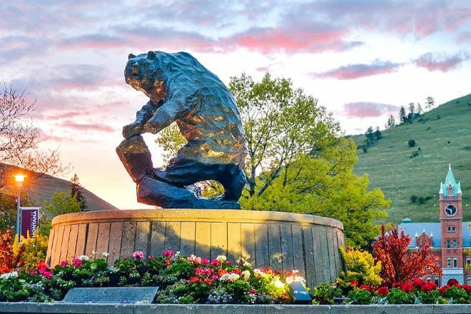 university of montana