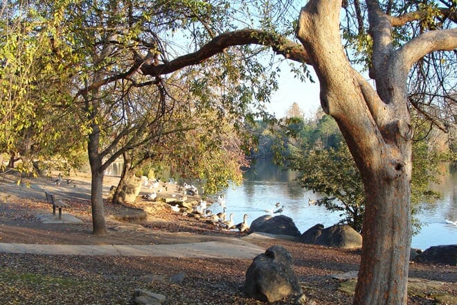 woodward regional park