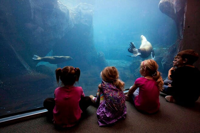 alaska sealife center