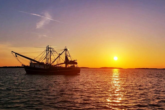 amelia river cruises and charters