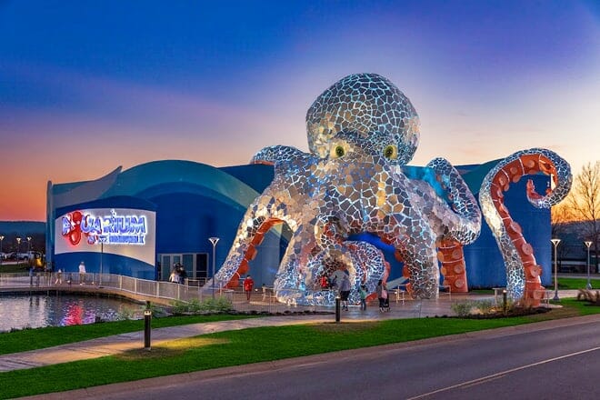 aquarium at the boardwalk
