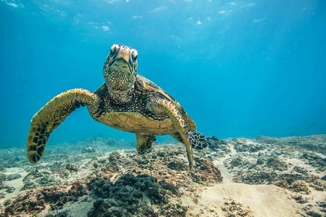 atlantic city aquarium historic gardner's basin