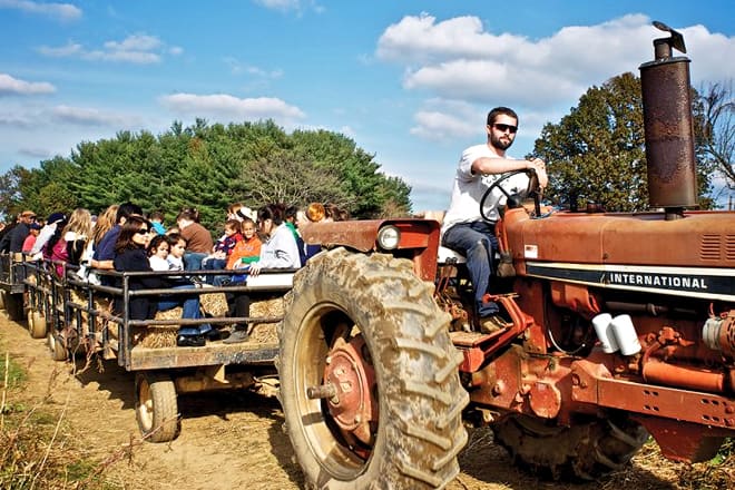 baugher's orchard and farm