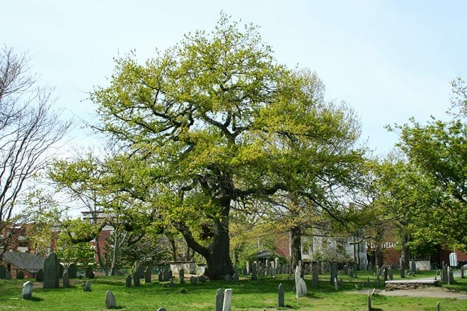 bewitched after dark