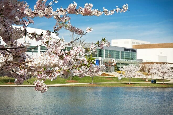 big spring international park