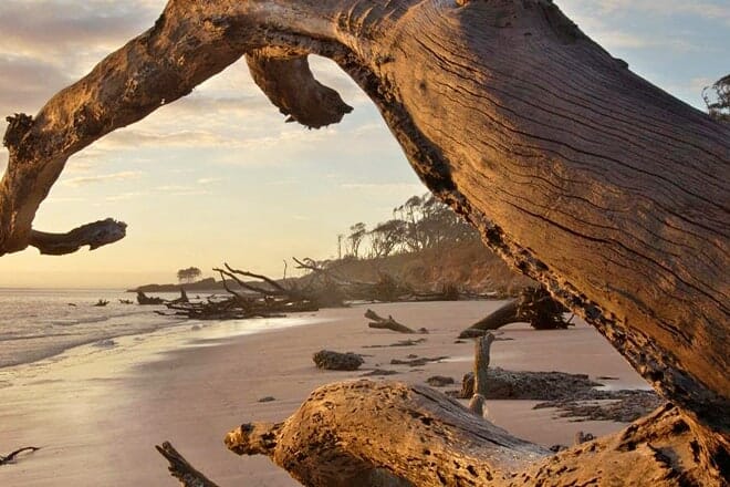 big talbot island state park