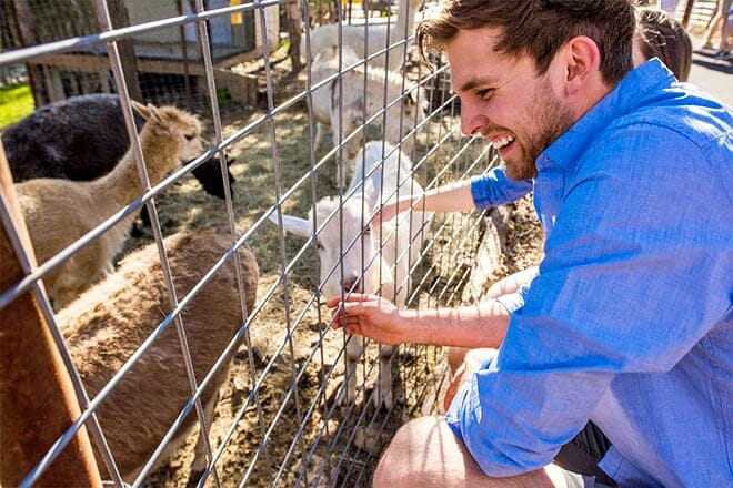 branson's promised land zoo