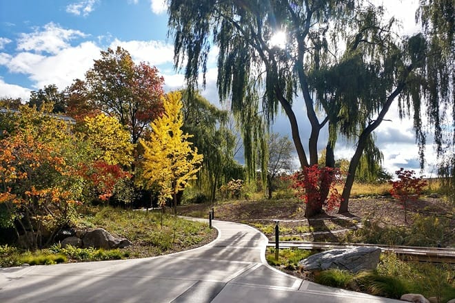 calvin college ecosystem preserve