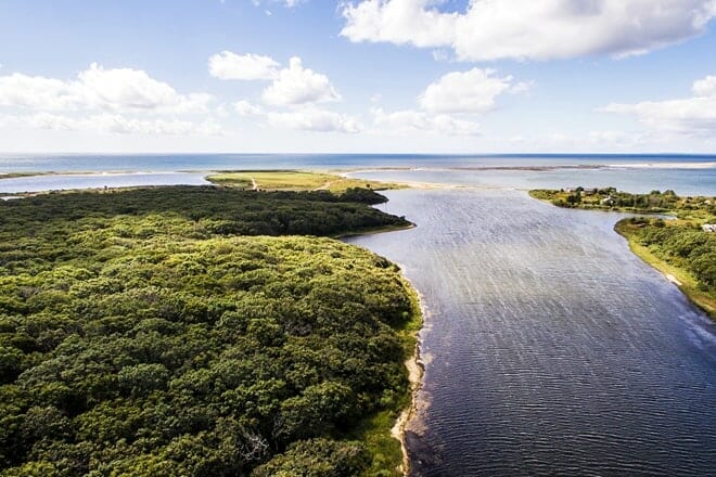 cape poge wildlife refuge
