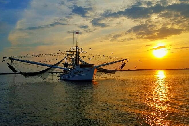 captain derek’s dolphin adventures