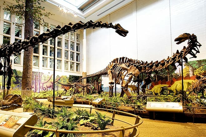 carnegie museum of natural history