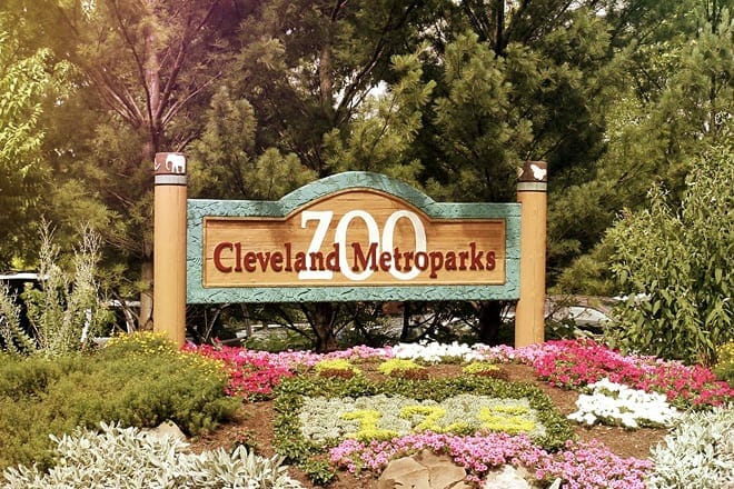 cleveland metroparks zoo