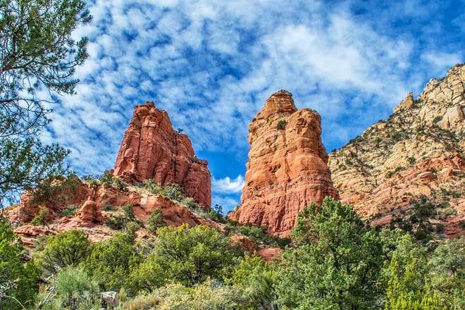 coconino national forest