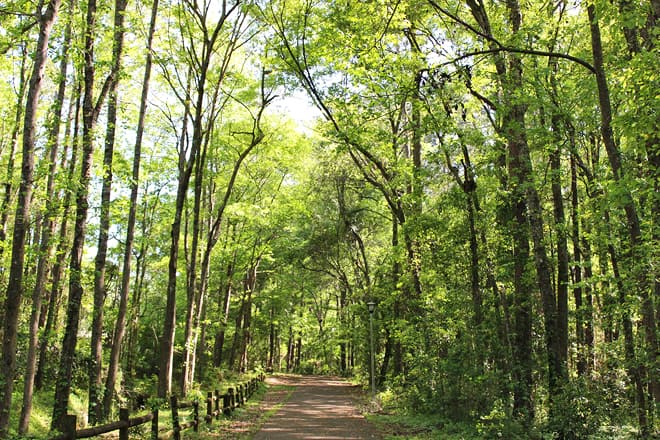 denison pequotsepos nature center