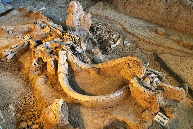 el paso museum of archaeology