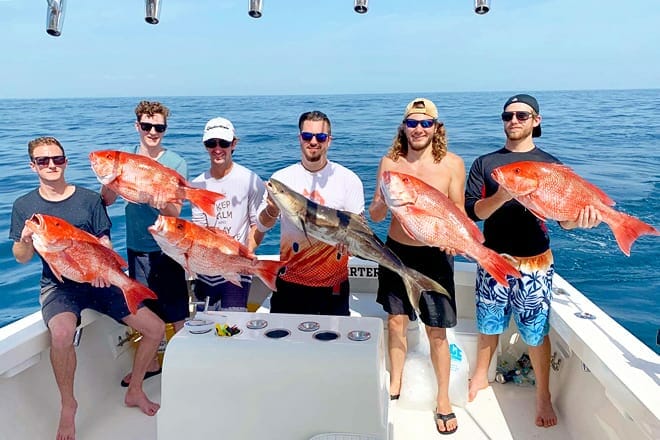 fin fly fishing charters