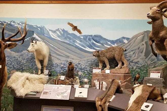 fish hatchery and wildlife museum