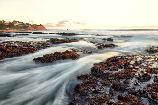 fitzgerald marine reserve &mdash; moss beach