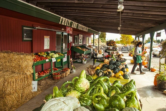 gallaghers farm market