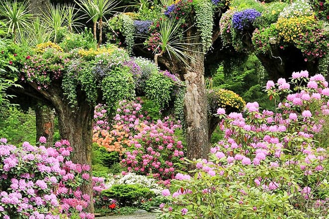 glacier gardens rainforest adventure