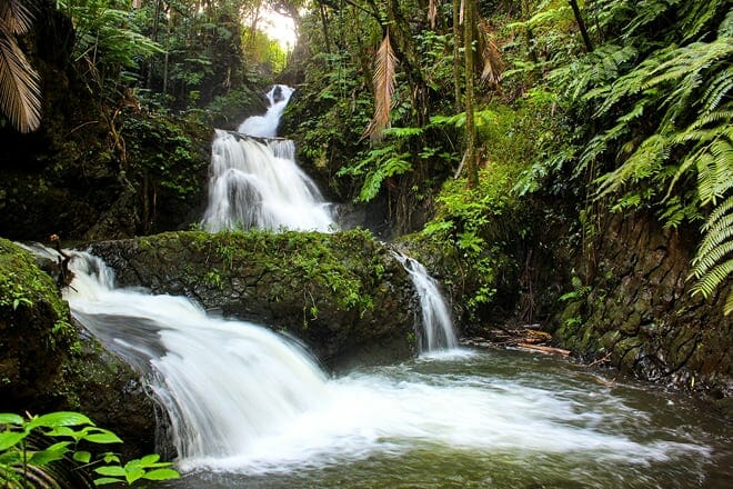 hawaii tropical botanical garden