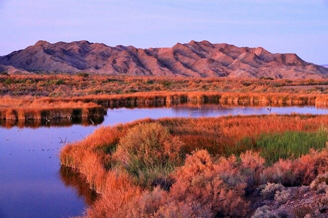 imperial national wildlife refuge