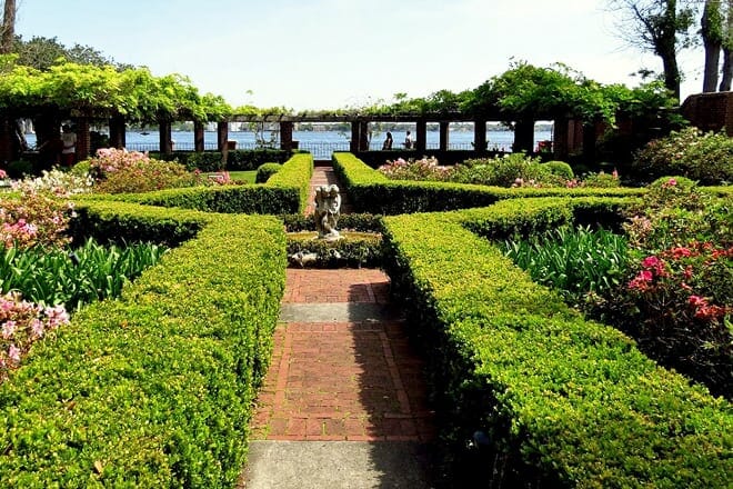 jacksonville arboretum and gardens