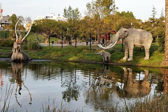 la brea tar pits and museum