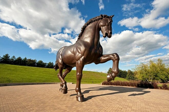 leonardo da vinci's horse