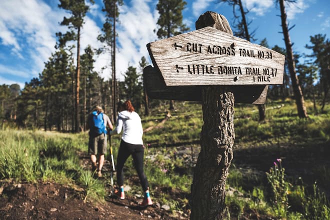lincoln national forest