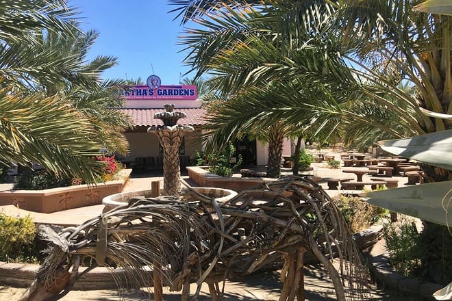 martha's gardens medjool date farm