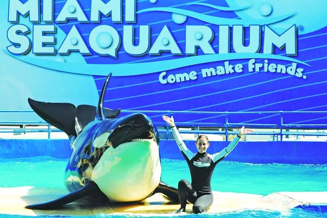 miami seaquarium