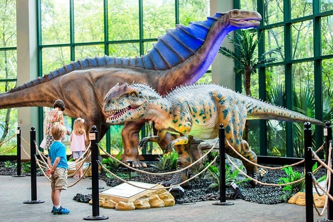 mississippi museum of natural science &mdash; jackson