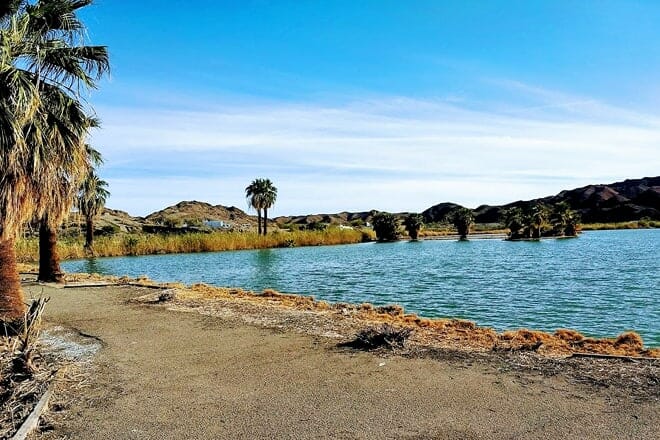 mittry lake wildlife area