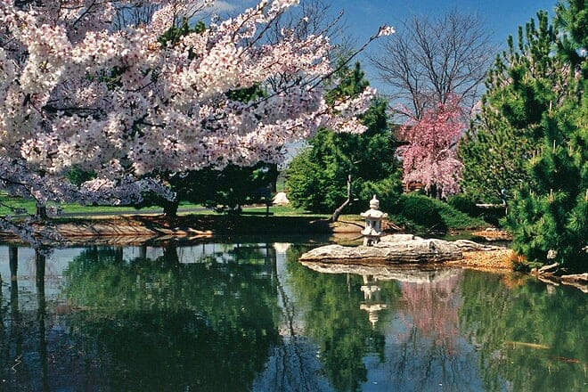 mizumoto japanese stroll garden