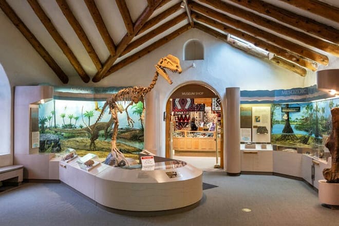 museum of northern arizona