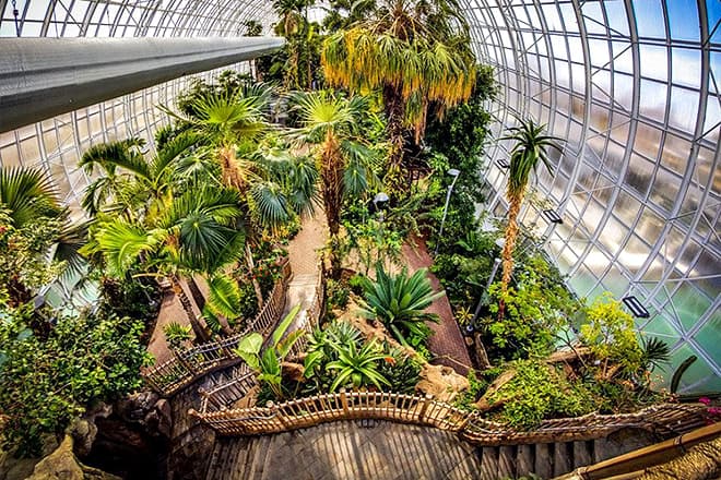 myriad botanical gardens