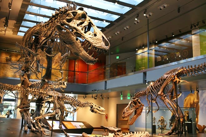 natural history museum of los angeles county