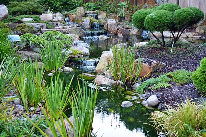 new hanover county arboretum