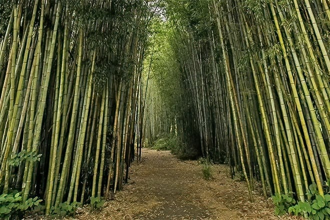 oconaluftee islands park