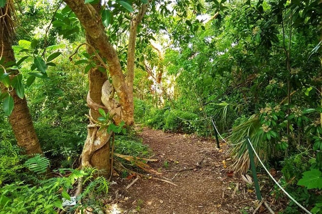 otter mound preserve