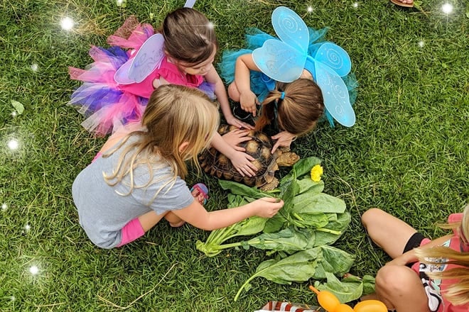 Oxbow Meadows Environmental Learning Center