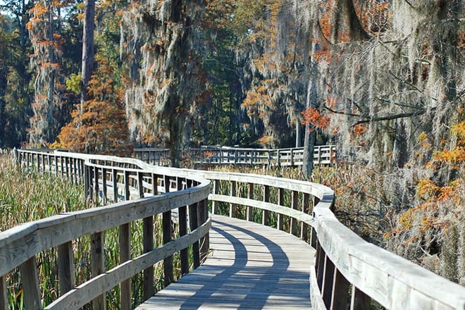 phinizy swamp nature park