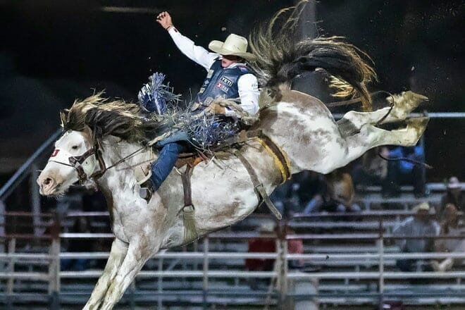 prescott frontier days world's oldest rodeo