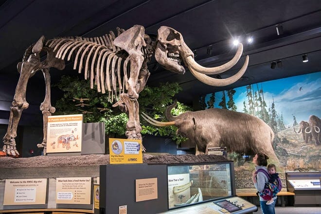 rochester museum & science center