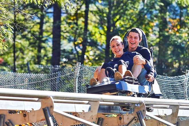 rowdy bear mountain coaster