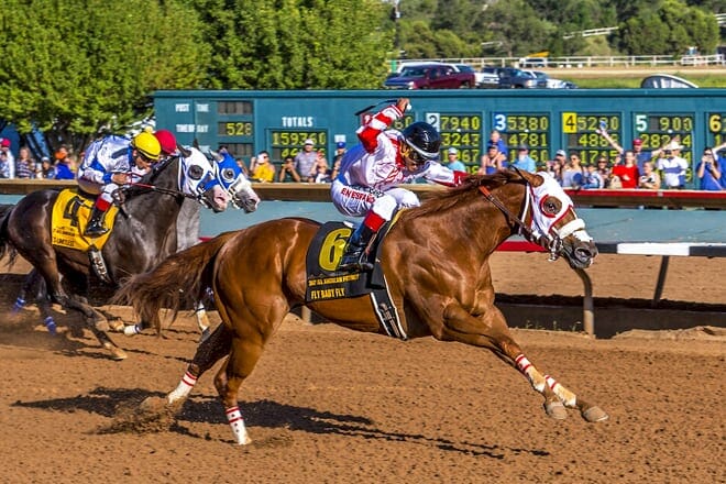 ruidoso downs race track & casino